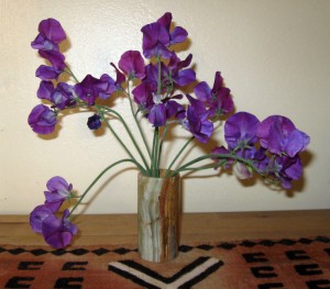 DryStoneGarden » Blog Archive » Trudy the Corpse Flower